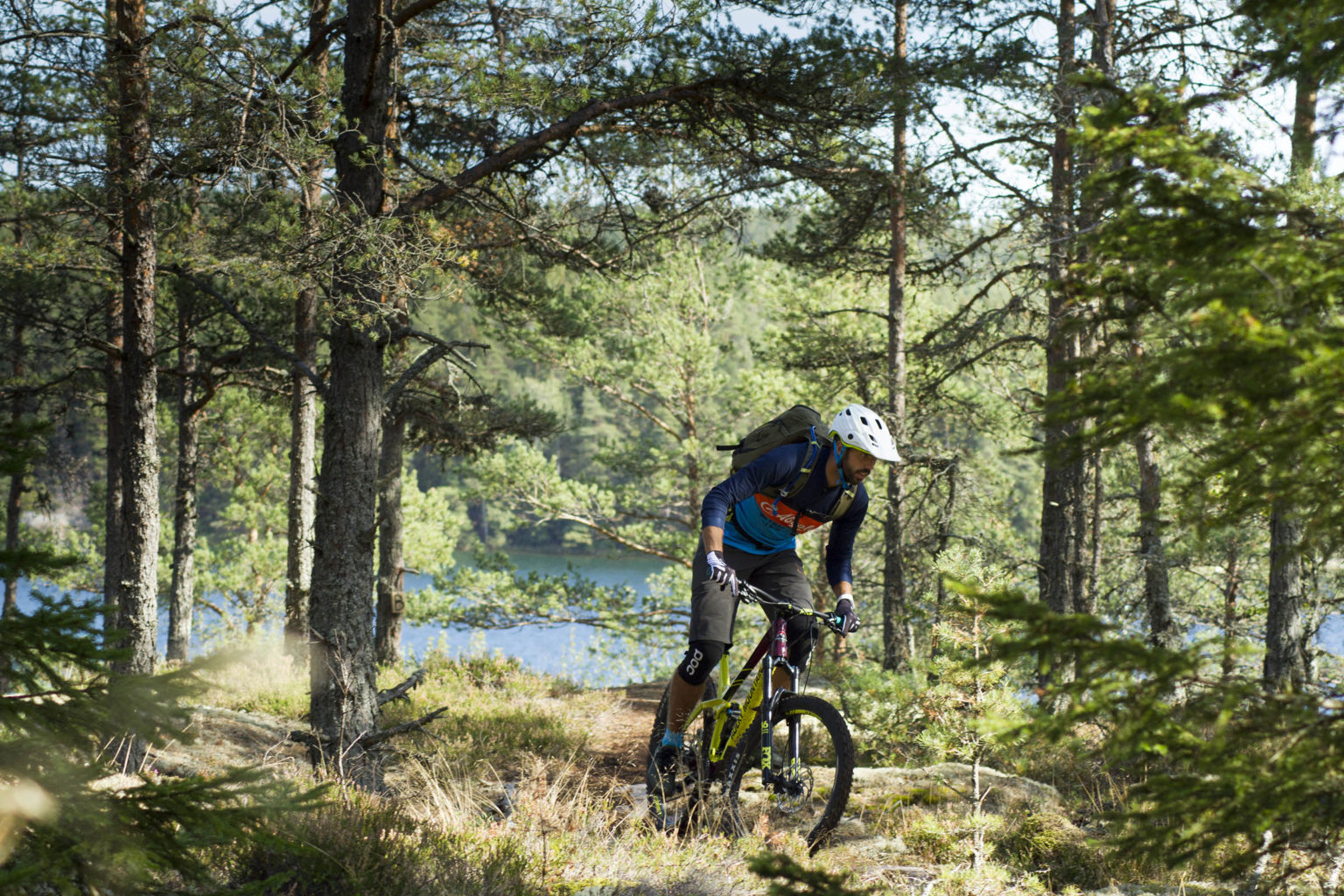 The trail system in the MTB arena is growing - Bergs Gård Trosa